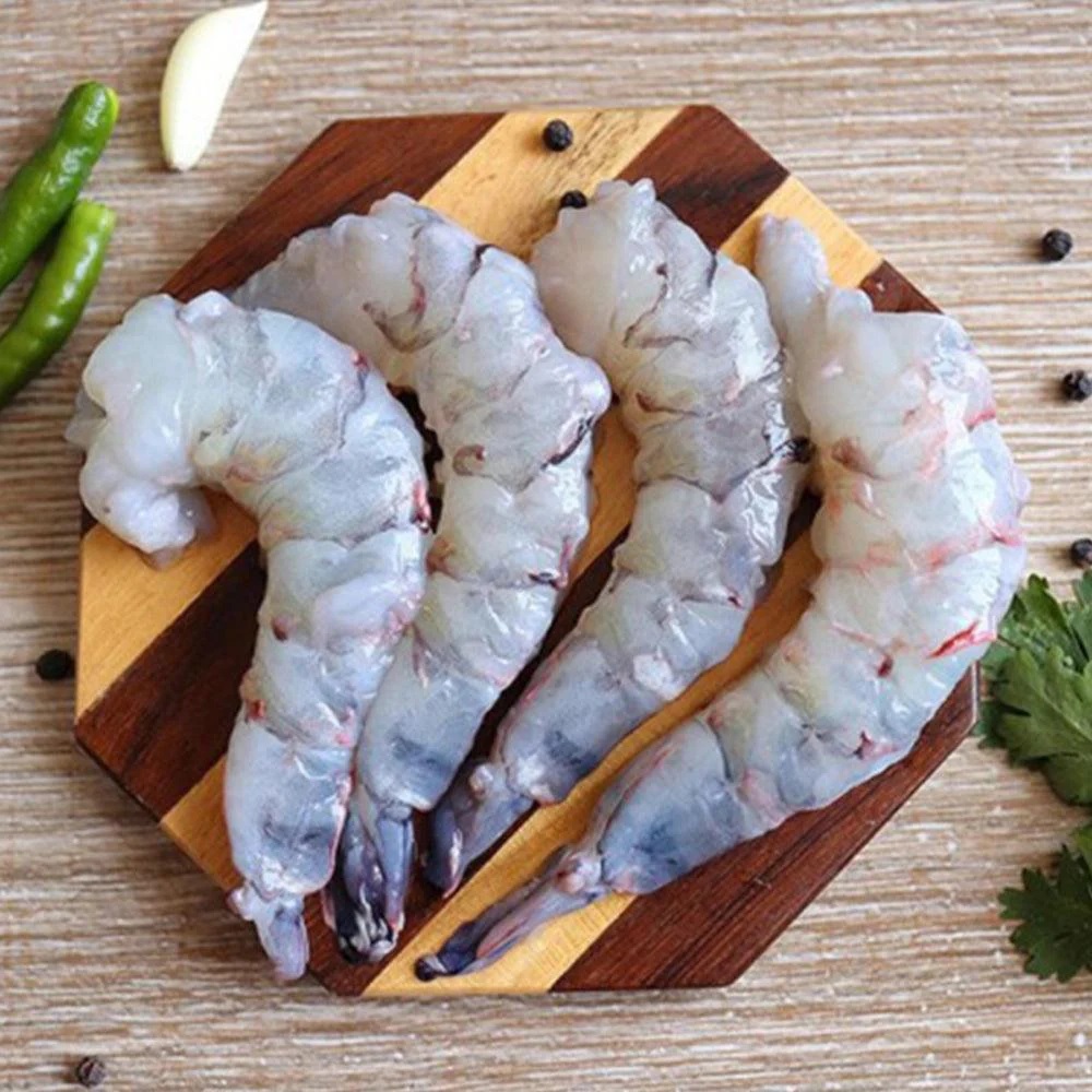 Services - Expshrimp - Shrimp breeding